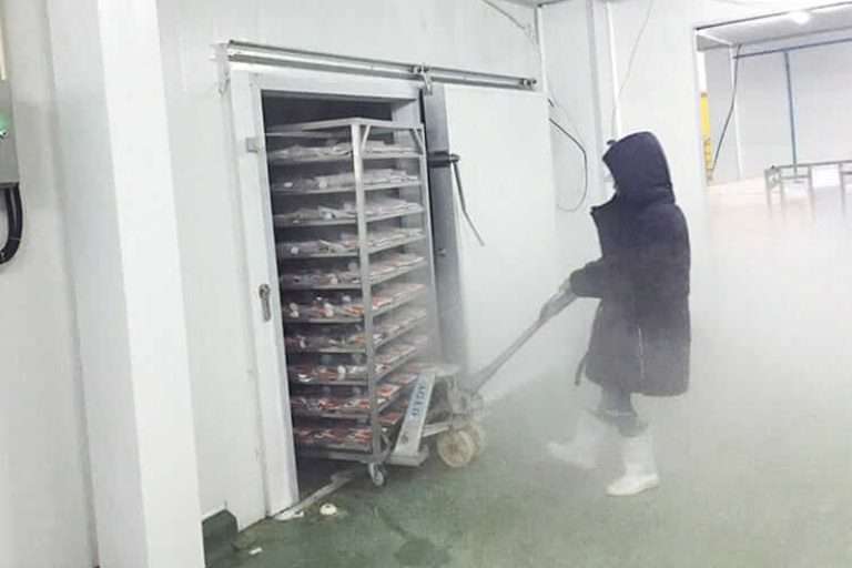 Blast Chillers Freezers for Food & Commercial Kitchens | Snowland